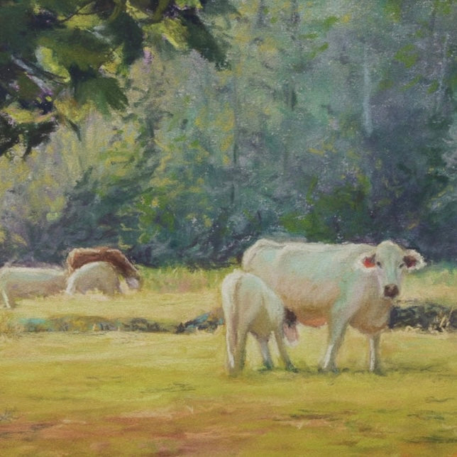 Dale Cook Fine Art – The Artisan District